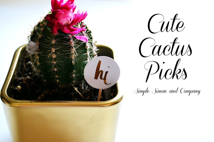 Cactus Picks- Simple Simon and Company