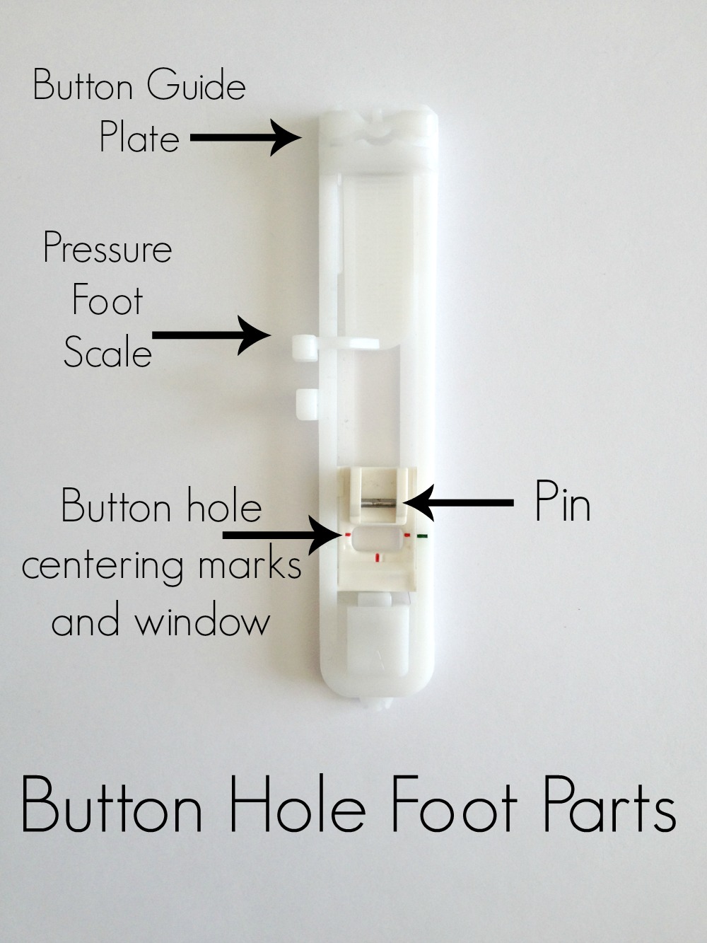 Get to Know Your Button Foot - Simple Simon and Company